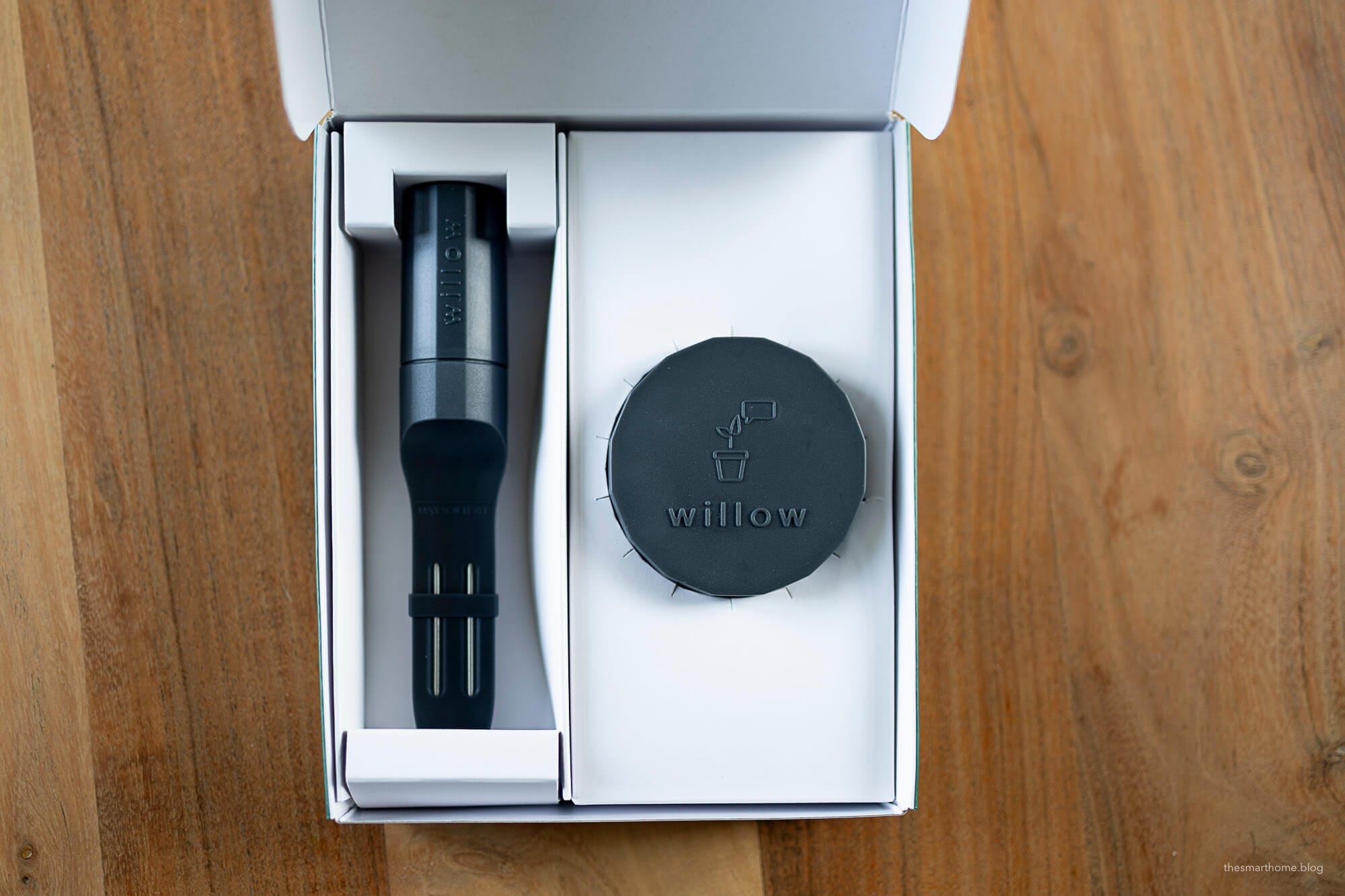 Willow Plant Sensor Review: Smart Plant Care Made Easy