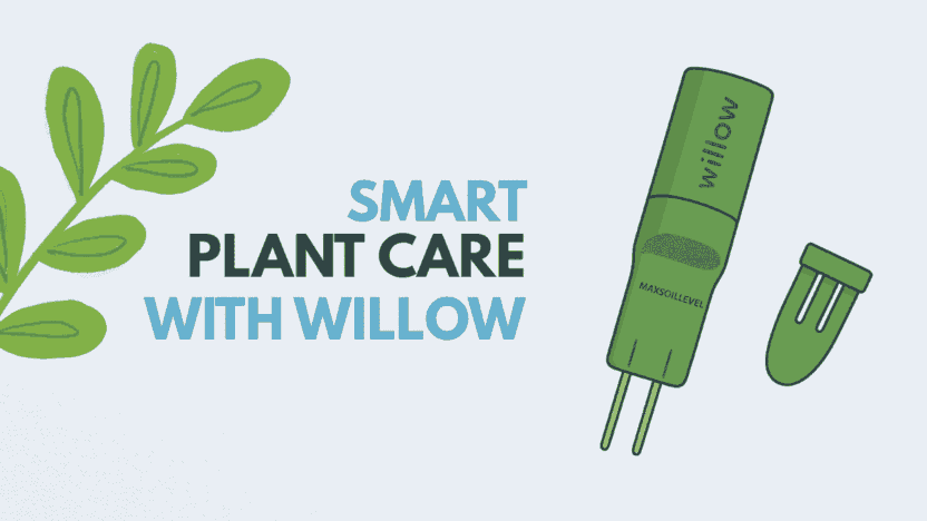 Willow Plant Sensor Review: Smart Plant Care Made Easy